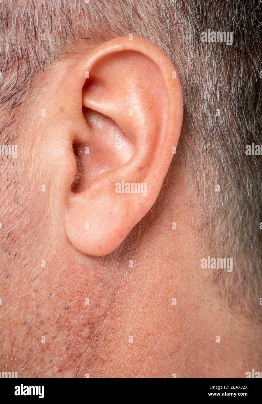human ear macro detail close-up shot Stock Photo - Alamy
