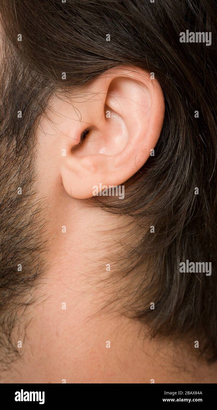 human ear macro detail close-up shot Stock Photo - Alamy