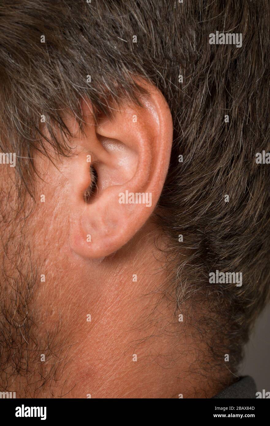 human ear macro detail close-up shot Stock Photo - Alamy