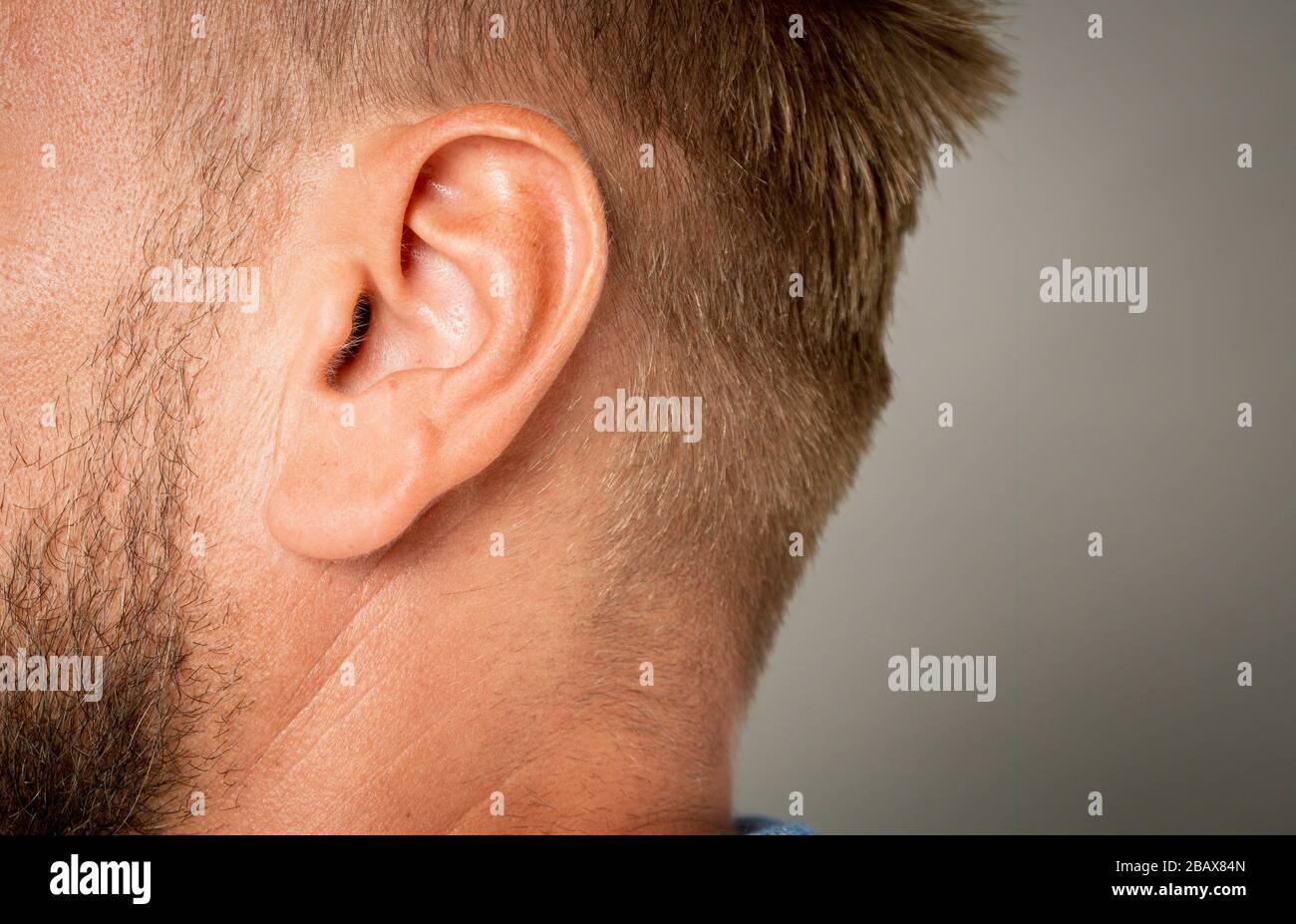 human ear macro detail close-up shot Stock Photo - Alamy
