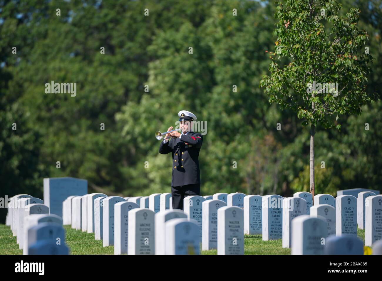Nuuanu cemetery hi-res stock photography and images - Alamy