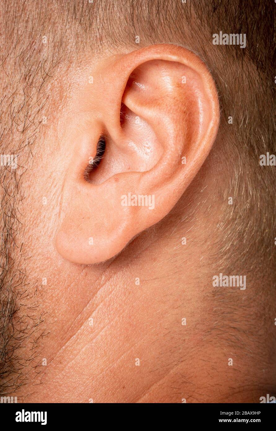 human ear detail macro close-up Stock Photo - Alamy
