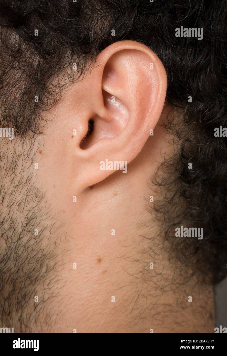 human ear detail macro close-up Stock Photo - Alamy