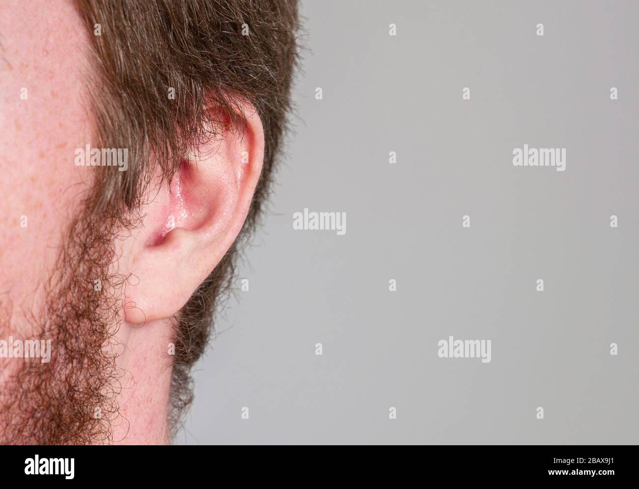 human ear detail macro close-up Stock Photo - Alamy