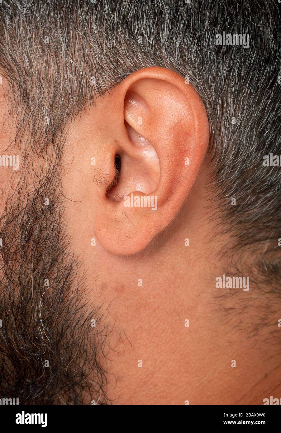 human ear detail macro close-up Stock Photo - Alamy