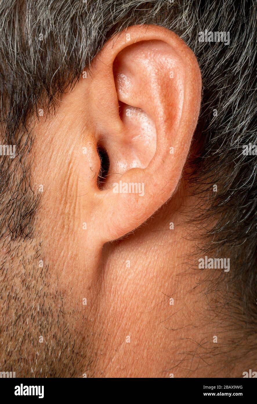 human ear detail macro close-up Stock Photo - Alamy