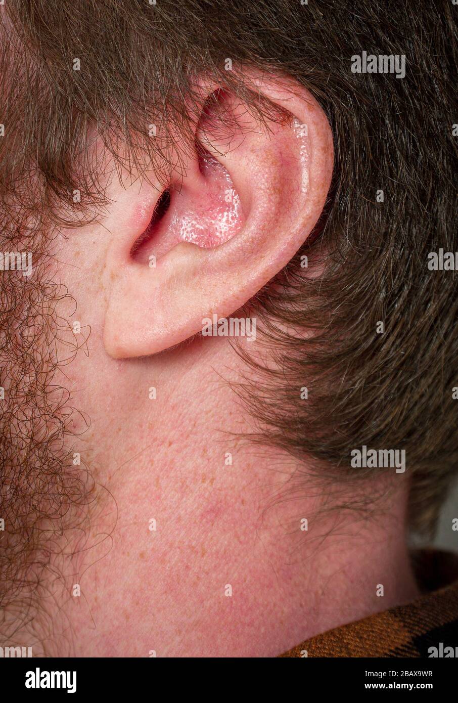 human ear detail macro close-up Stock Photo - Alamy