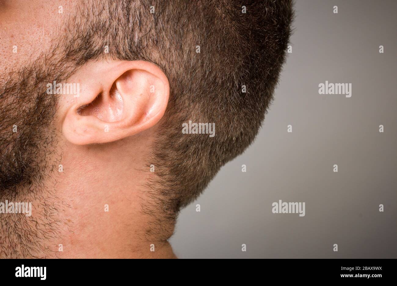 human ear detail macro close-up Stock Photo - Alamy