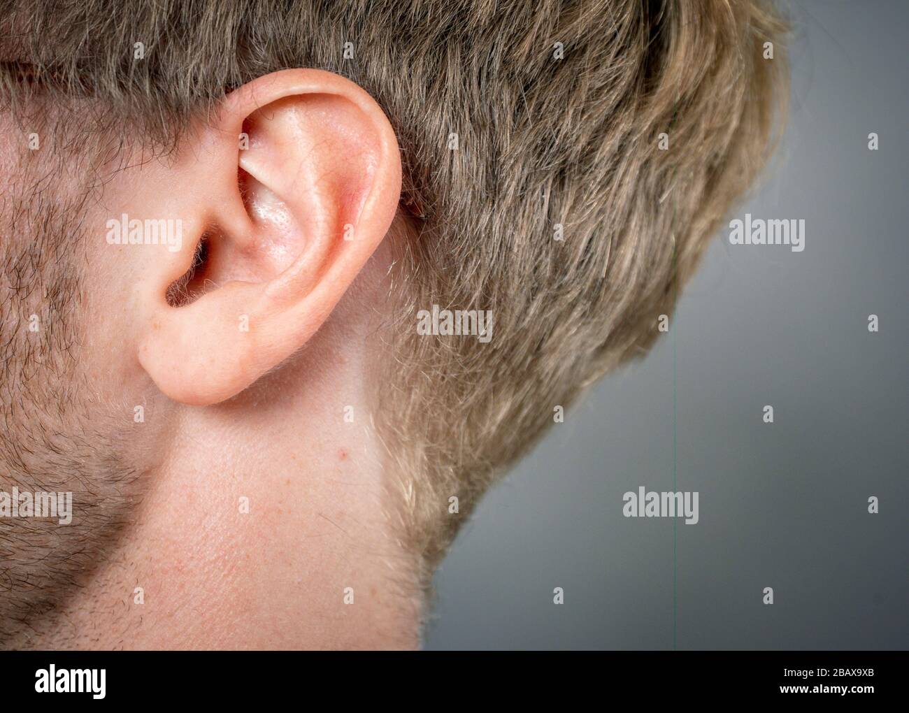 human ear detail macro close-up Stock Photo - Alamy