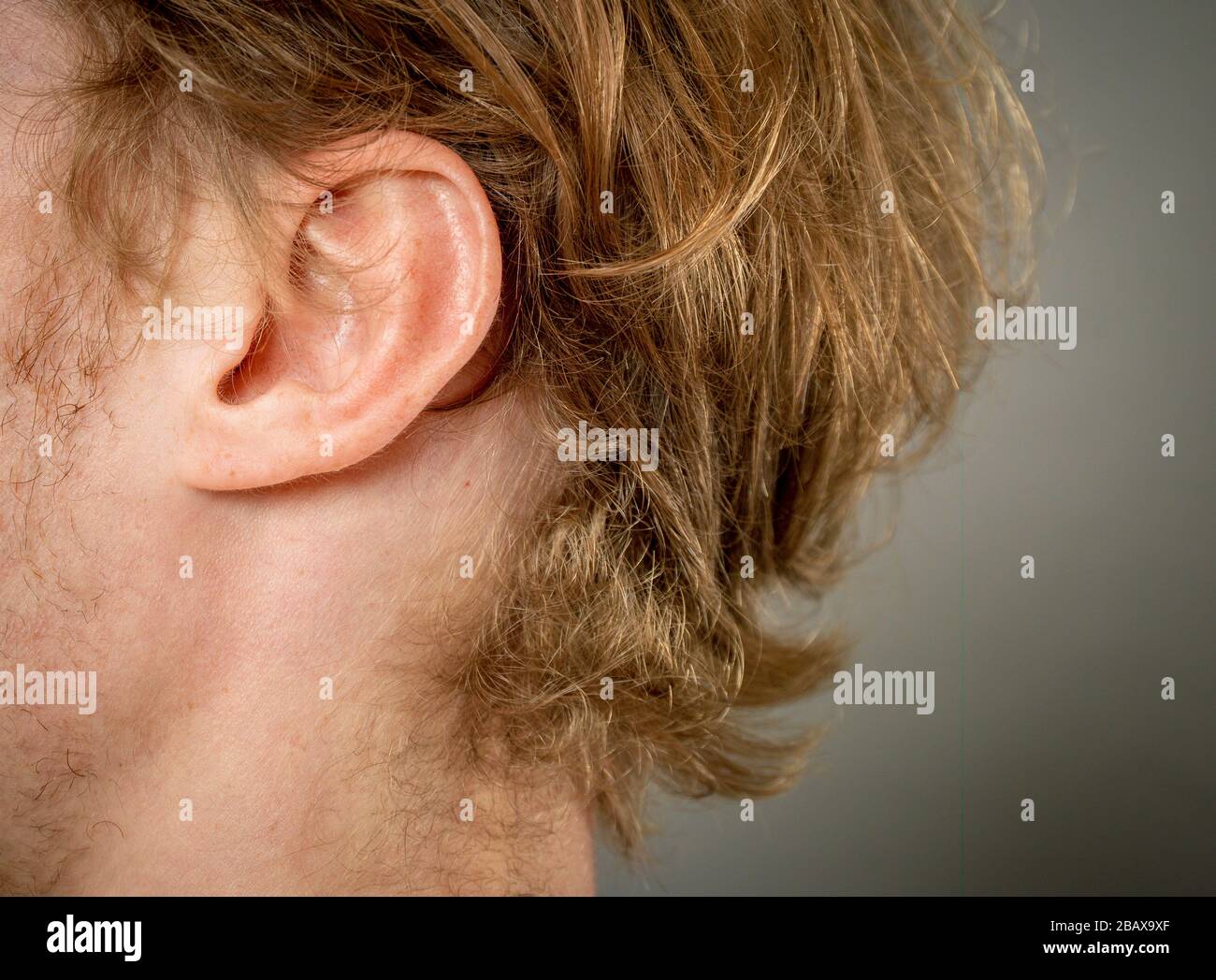 human ear detail macro close-up Stock Photo - Alamy