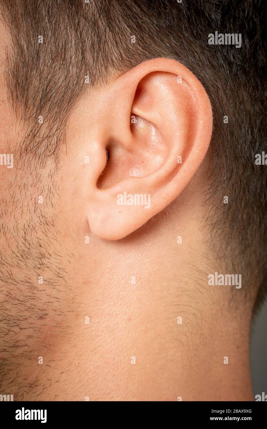 human ear detail macro close-up Stock Photo - Alamy