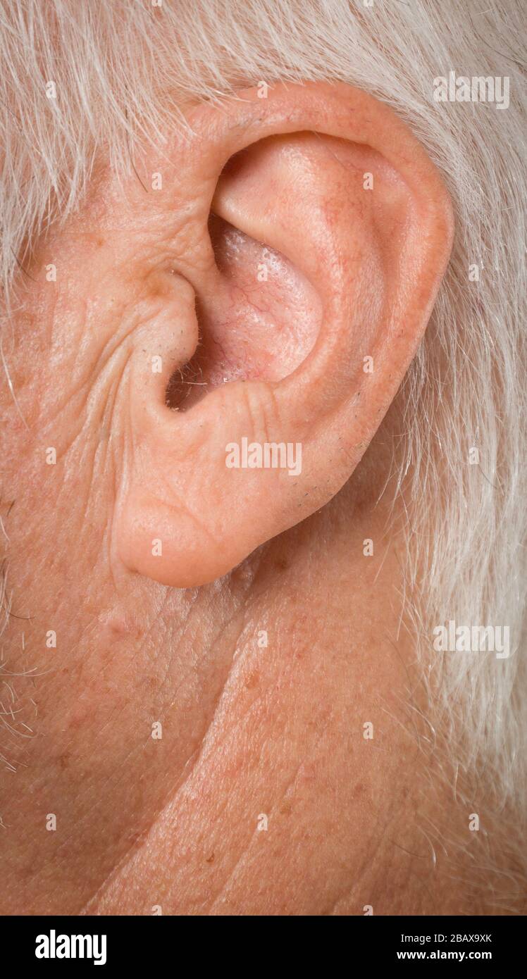 human ear detail macro close-up Stock Photo - Alamy