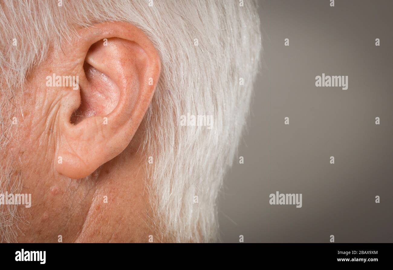 human ear detail macro close-up Stock Photo - Alamy
