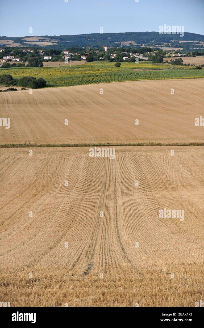 Farmers cornfield hi-res stock photography and images - Alamy