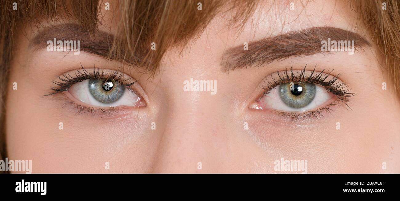 beautiful human eye close-up macro detail shot Stock Photo - Alamy