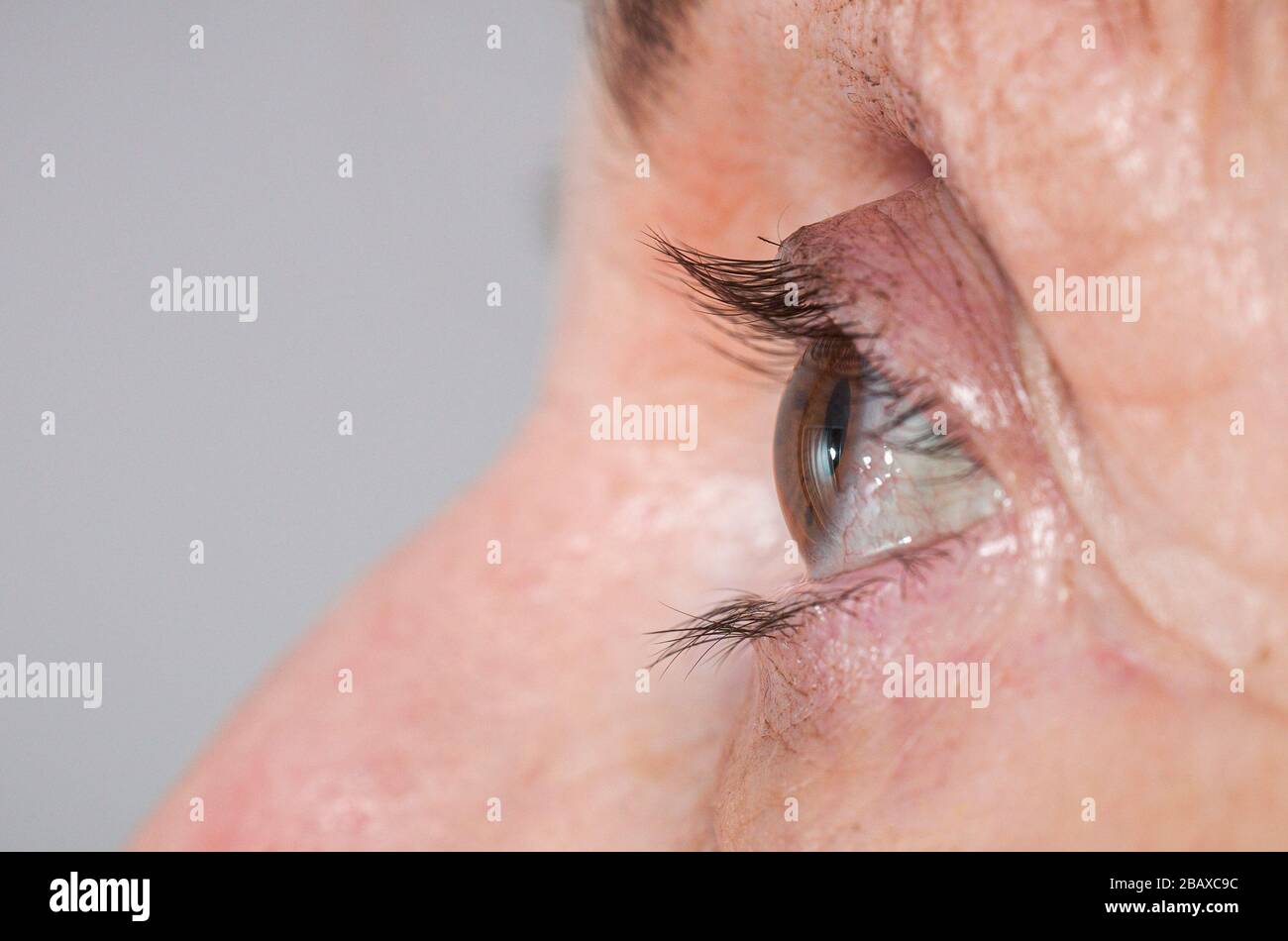 beautiful human eye close-up macro detail shot Stock Photo - Alamy