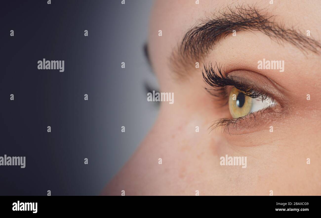 beautiful human eye close-up macro detail shot Stock Photo - Alamy