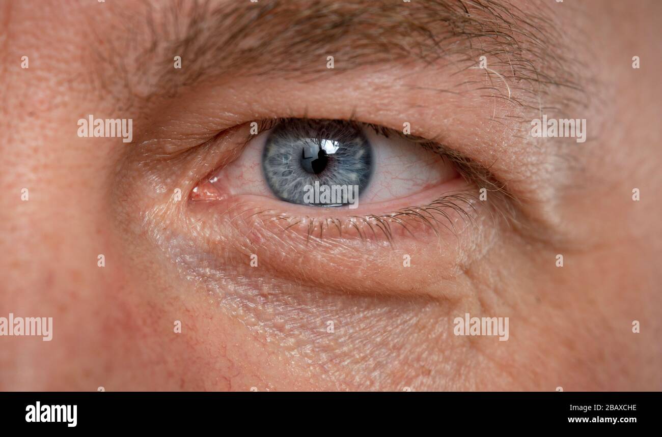 beautiful human eye close-up macro detail shot Stock Photo - Alamy