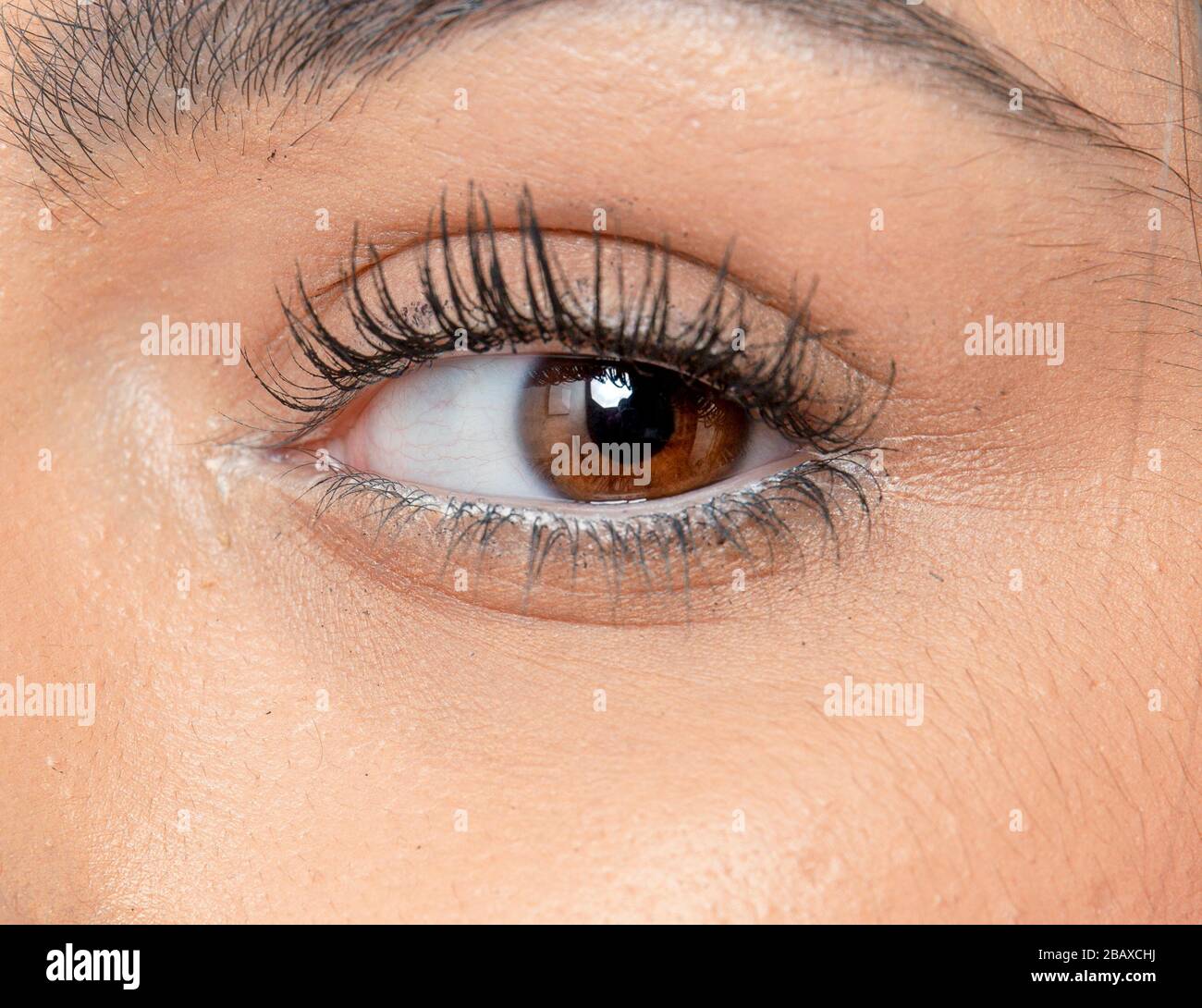 beautiful human eye close-up macro detail shot Stock Photo - Alamy