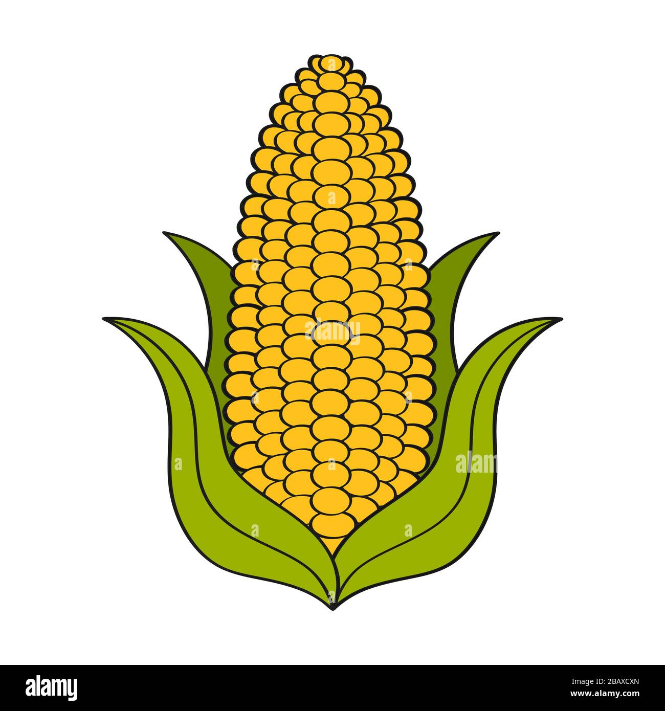 Corn Crop Clipart