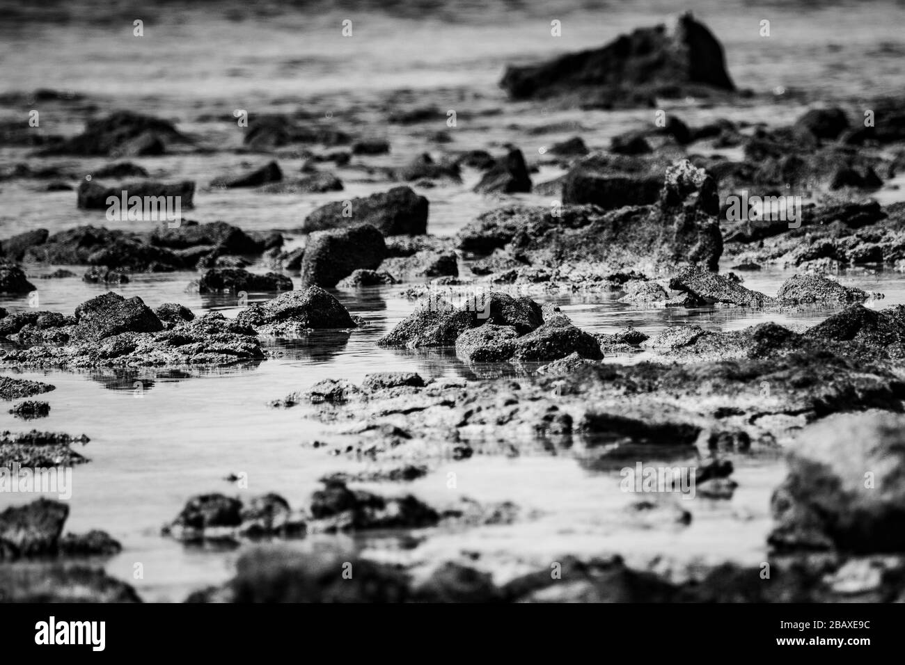 Calm water with rock Stock Photo - Alamy