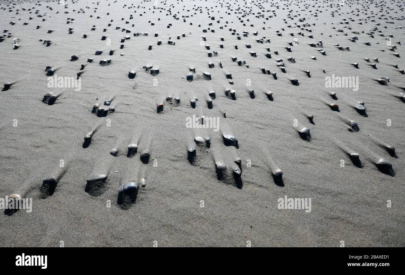 close up of pebbles at the beach Stock Photo - Alamy