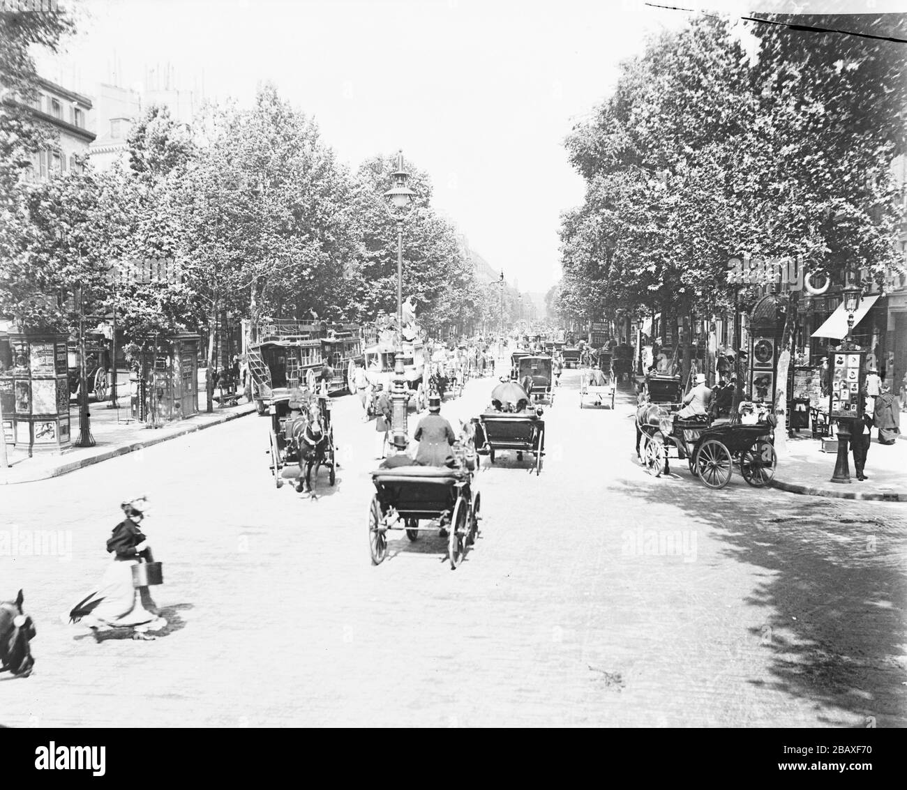 Horse-drawn carriages and omnibuses travel in both directions on a tree ...