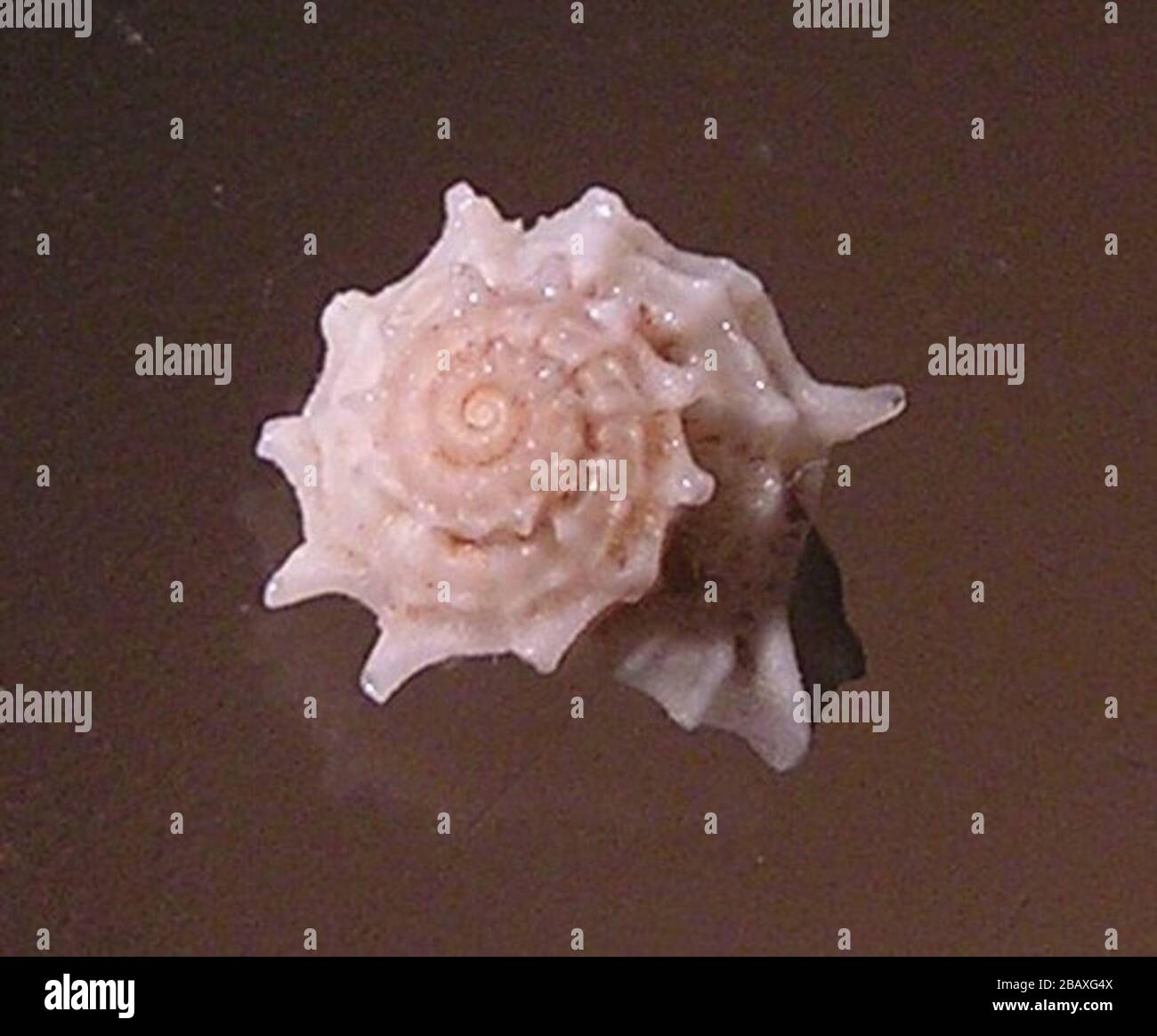 Philippines july 1 hi-res stock photography and images - Alamy