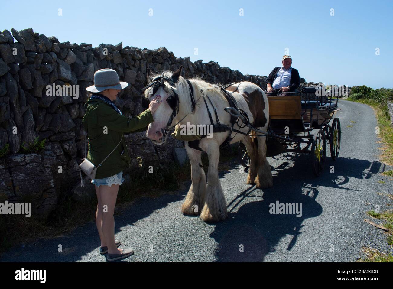Aran Islands - Inisheer coastal road pony cart Stock Photo - Alamy