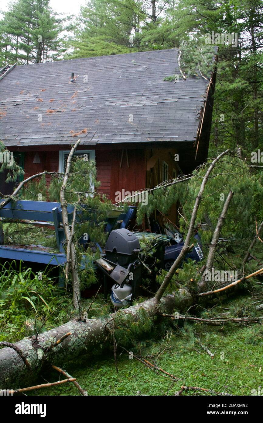 Wind storm tree hi-res stock photography and images - Alamy