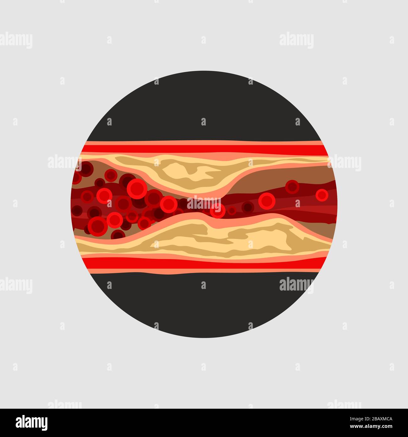Human vein blood cells Stock Vector Images - Alamy