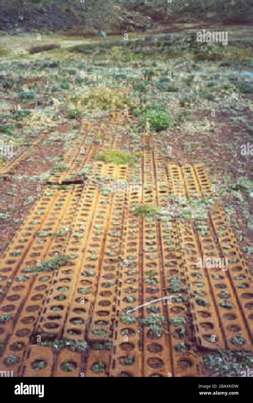 Attu hi-res stock photography and images - Alamy