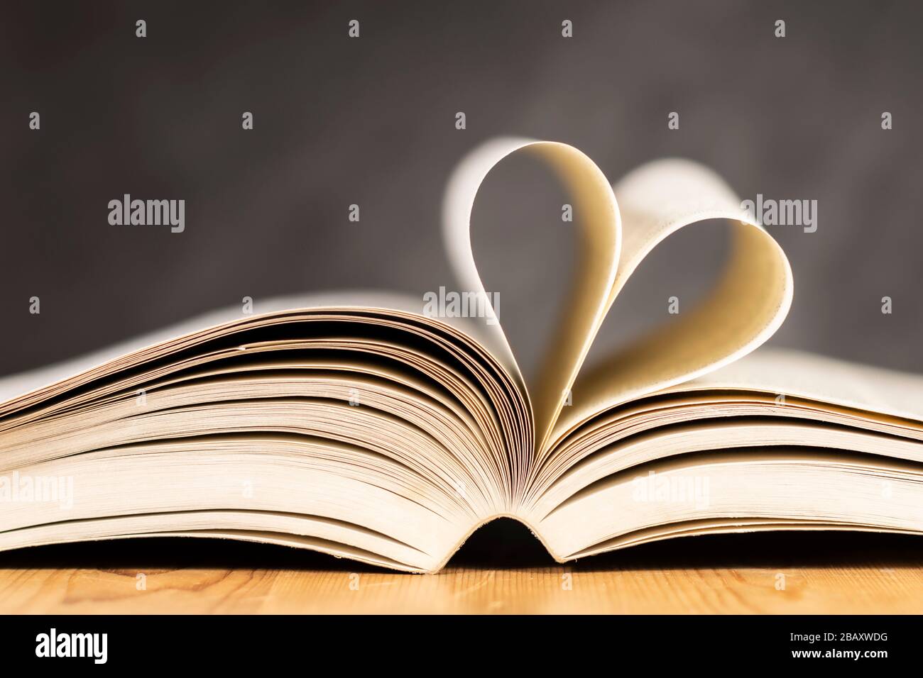 Shot of multiple pages in a book folded together made to resemble the ...