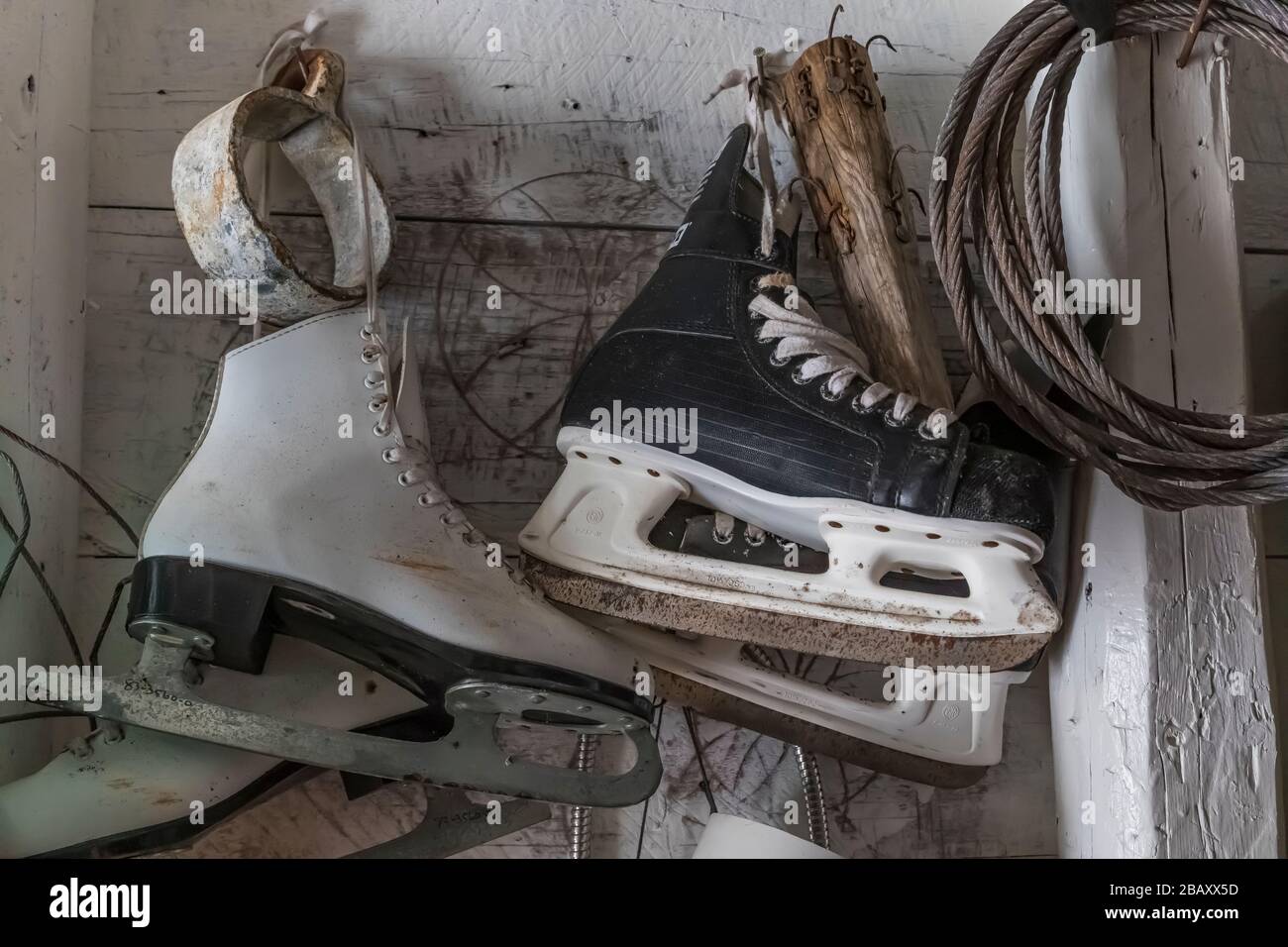 Ice skates in stage belonging to Desmond Adams in Joe Batt's Arm on ...