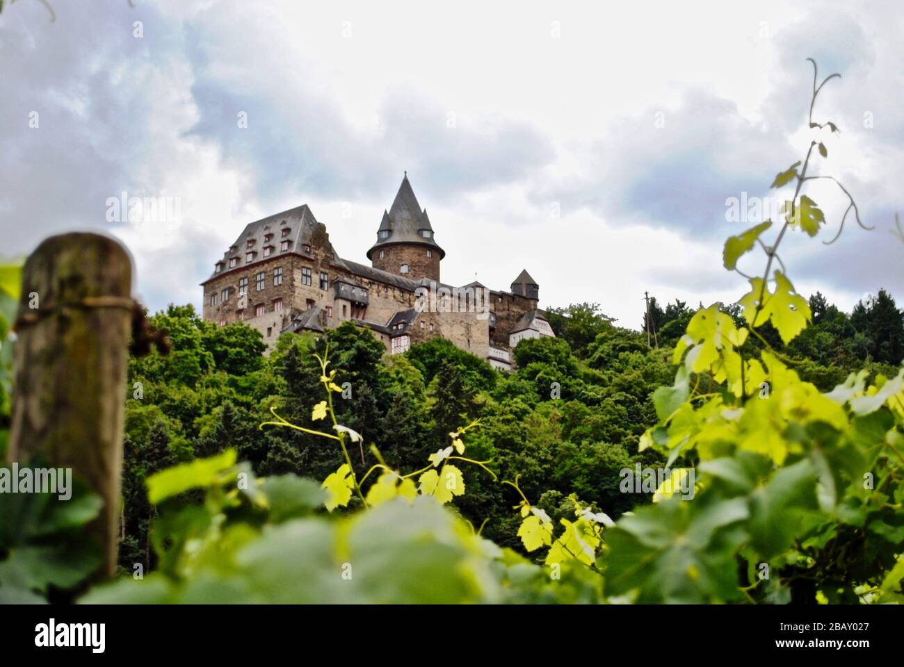 Stahleck Castle (Burg Stahleck means castle on a crag) seen through ...