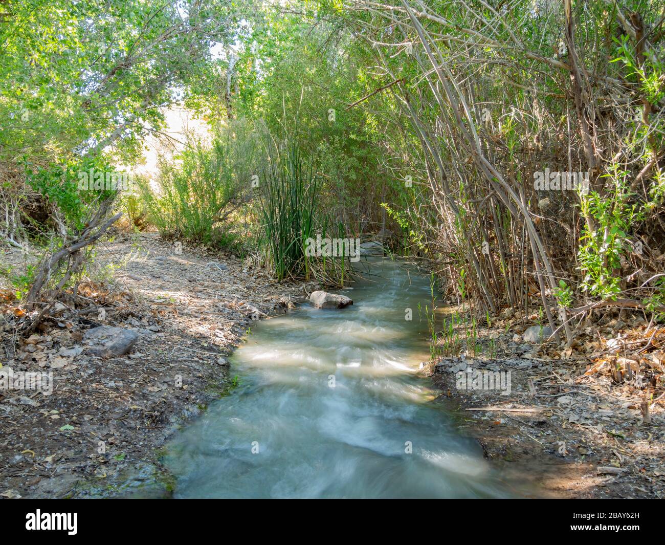 Beautiful landscape with river and trees at Clark County Wetlands Park ...