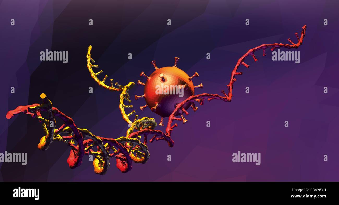 Viral replication hi-res stock photography and images - Alamy