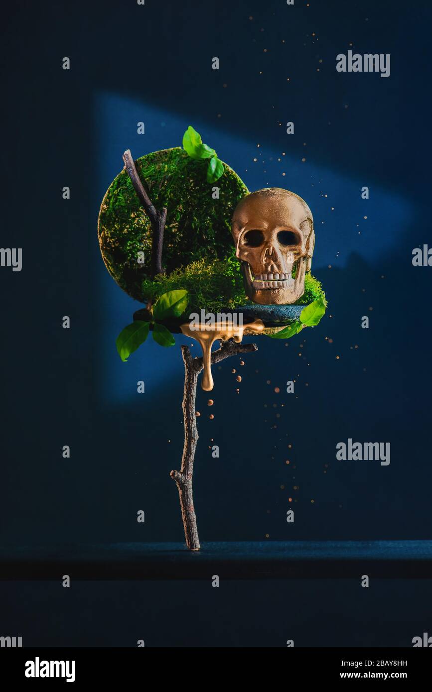 Human scull bones hi-res stock photography and images - Alamy