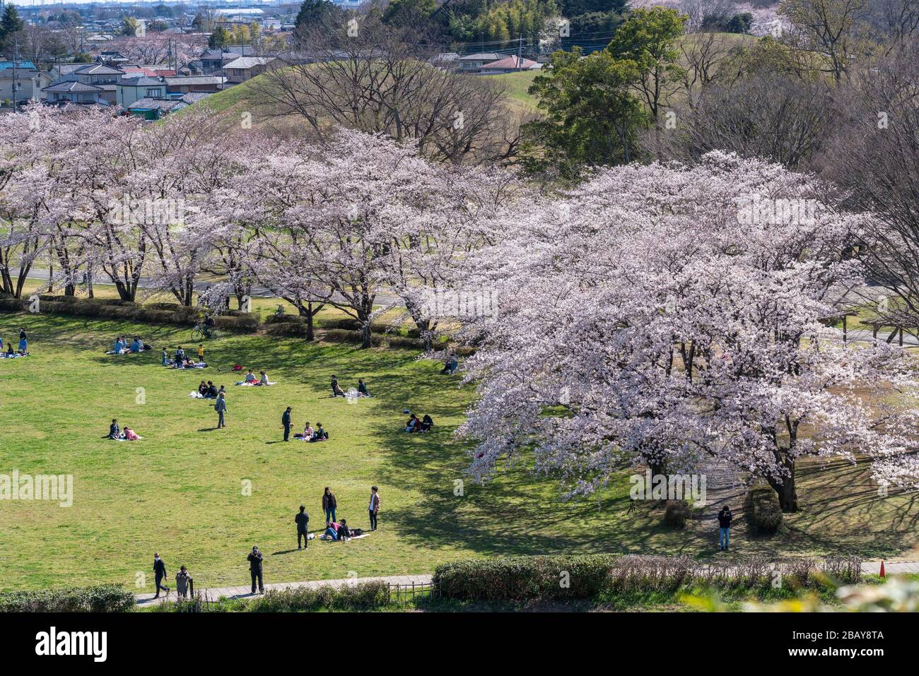 Sakitama ancient tomb park, Gyoda City, Saitama Prefecture, Japan Stock ...