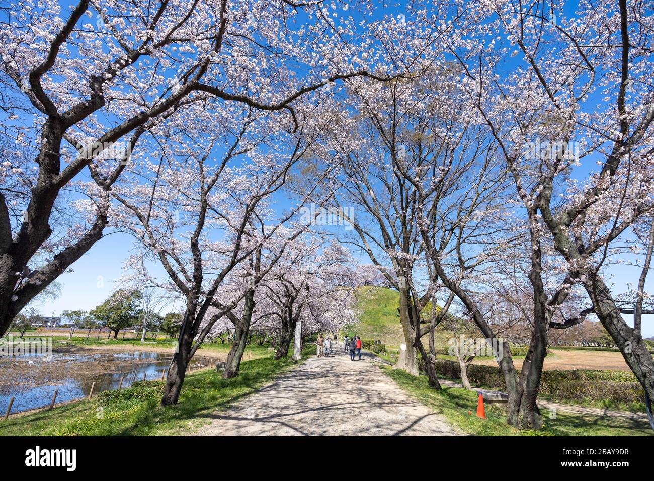 Sakitama ancient tomb park, Gyoda City, Saitama Prefecture, Japan Stock ...