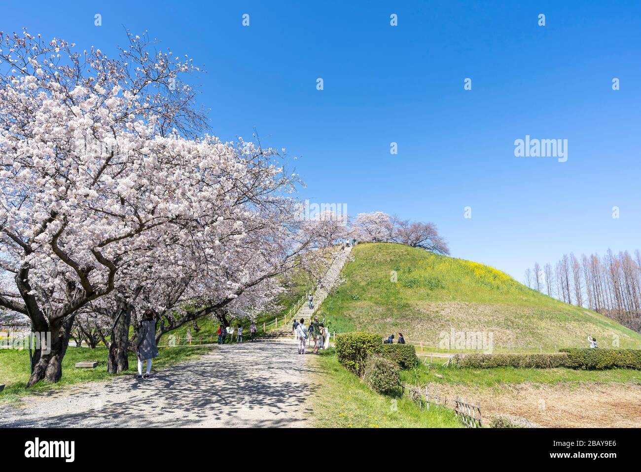 Maruyama kofun, Sakitama ancient tomb park, Gyoda City, Saitama ...