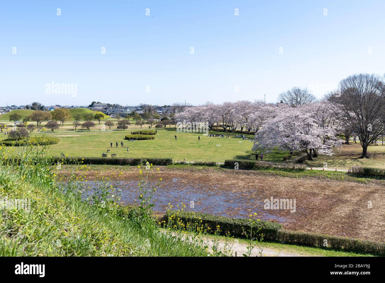 Sakitama ancient tomb park, Gyoda City, Saitama Prefecture, Japan Stock ...