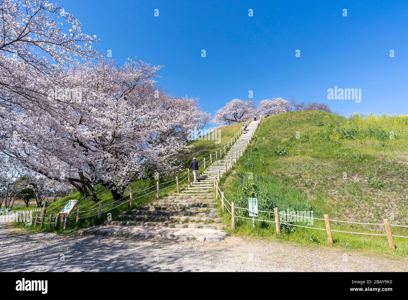 Maruyama kofun, Sakitama ancient tomb park, Gyoda City, Saitama ...