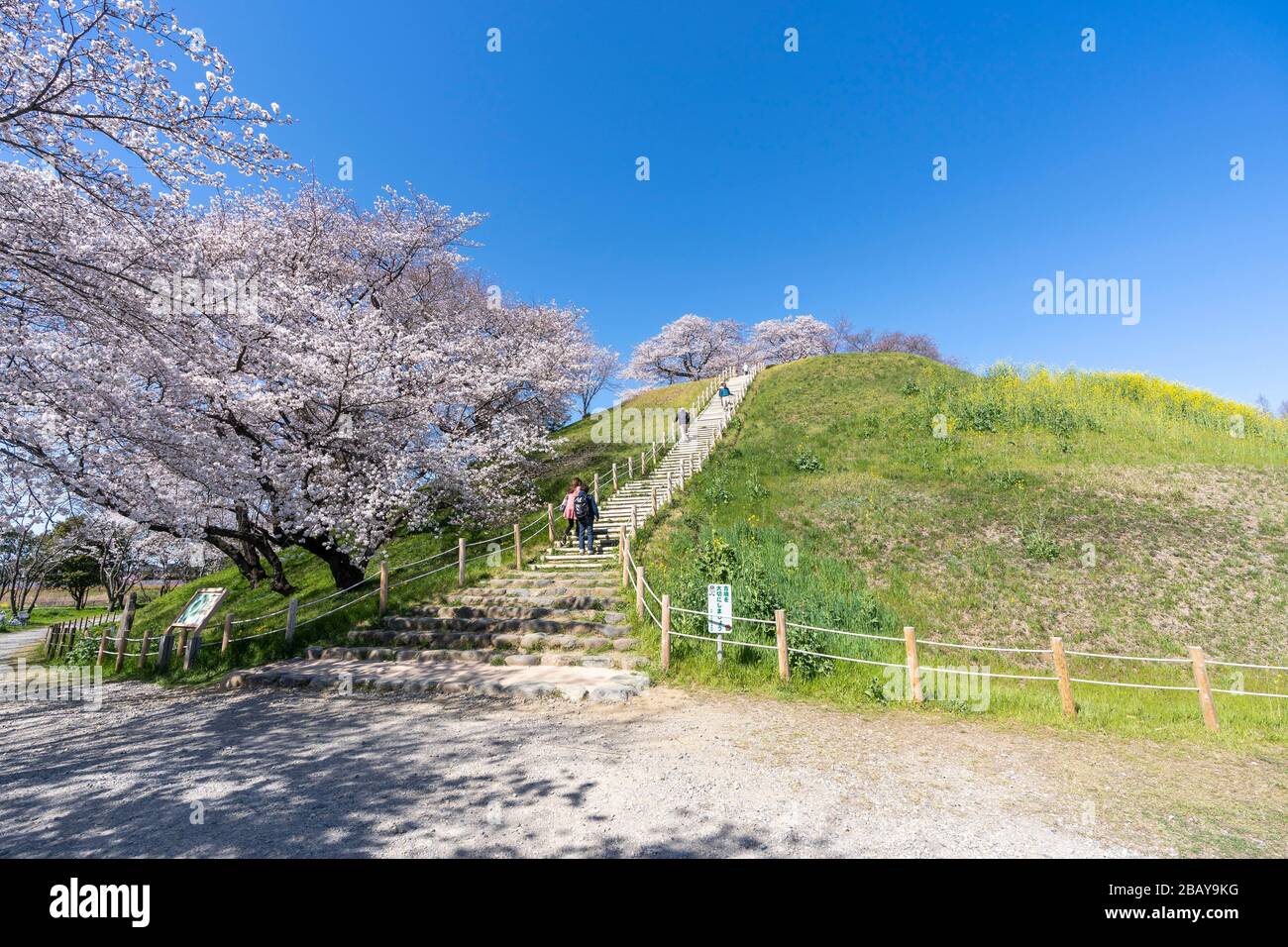 Maruyama kofun, Sakitama ancient tomb park, Gyoda City, Saitama ...