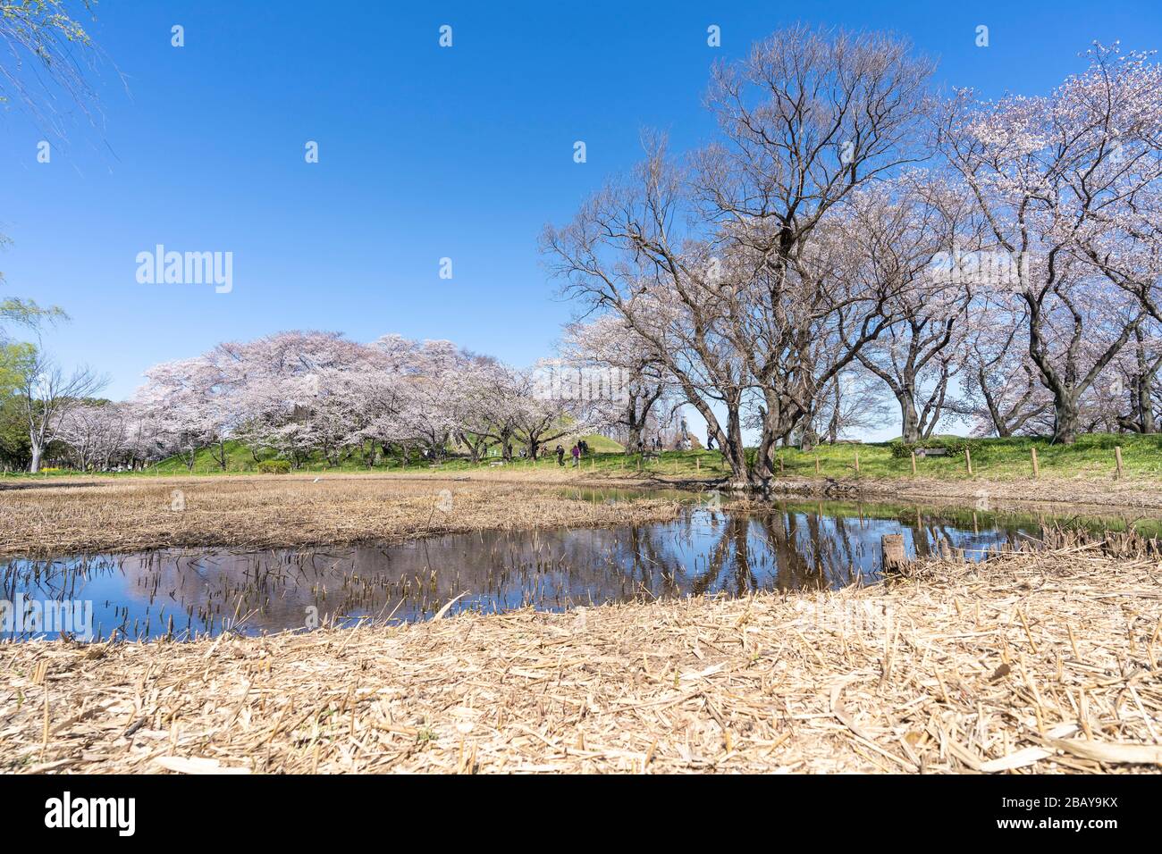 Sakitama ancient tomb park, Gyoda City, Saitama Prefecture, Japan Stock ...
