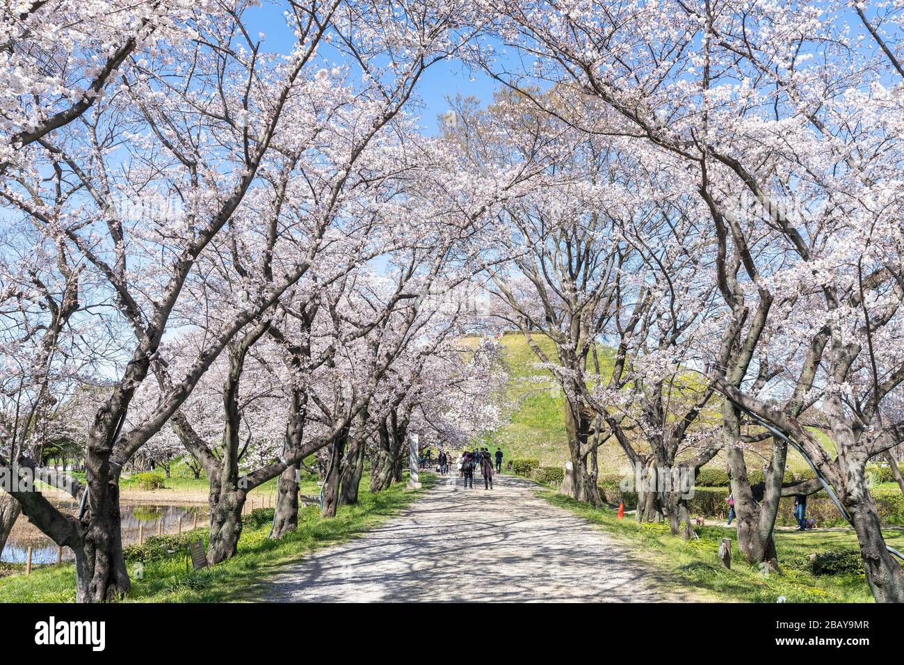 Sakitama ancient tomb park, Gyoda City, Saitama Prefecture, Japan Stock ...
