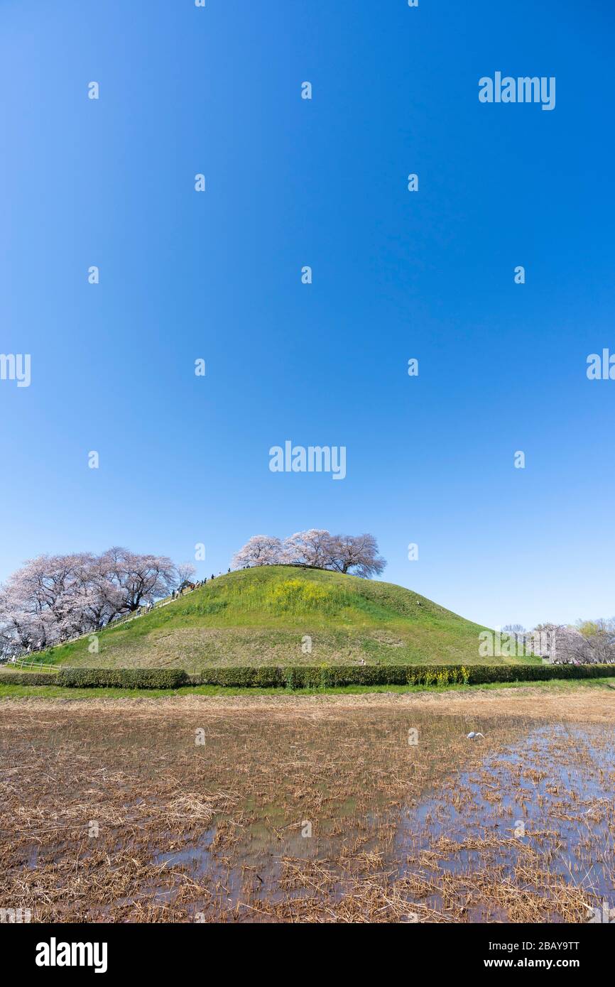 Maruyama kofun, Sakitama ancient tomb park, Gyoda City, Saitama ...