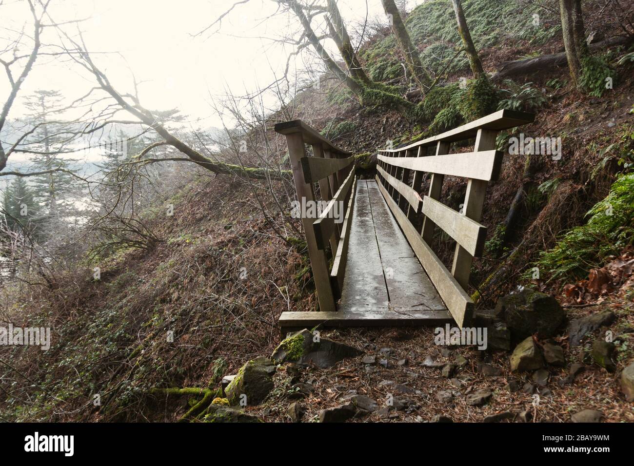Wooden narrow bridge in the forest during daytime Stock Photo - Alamy