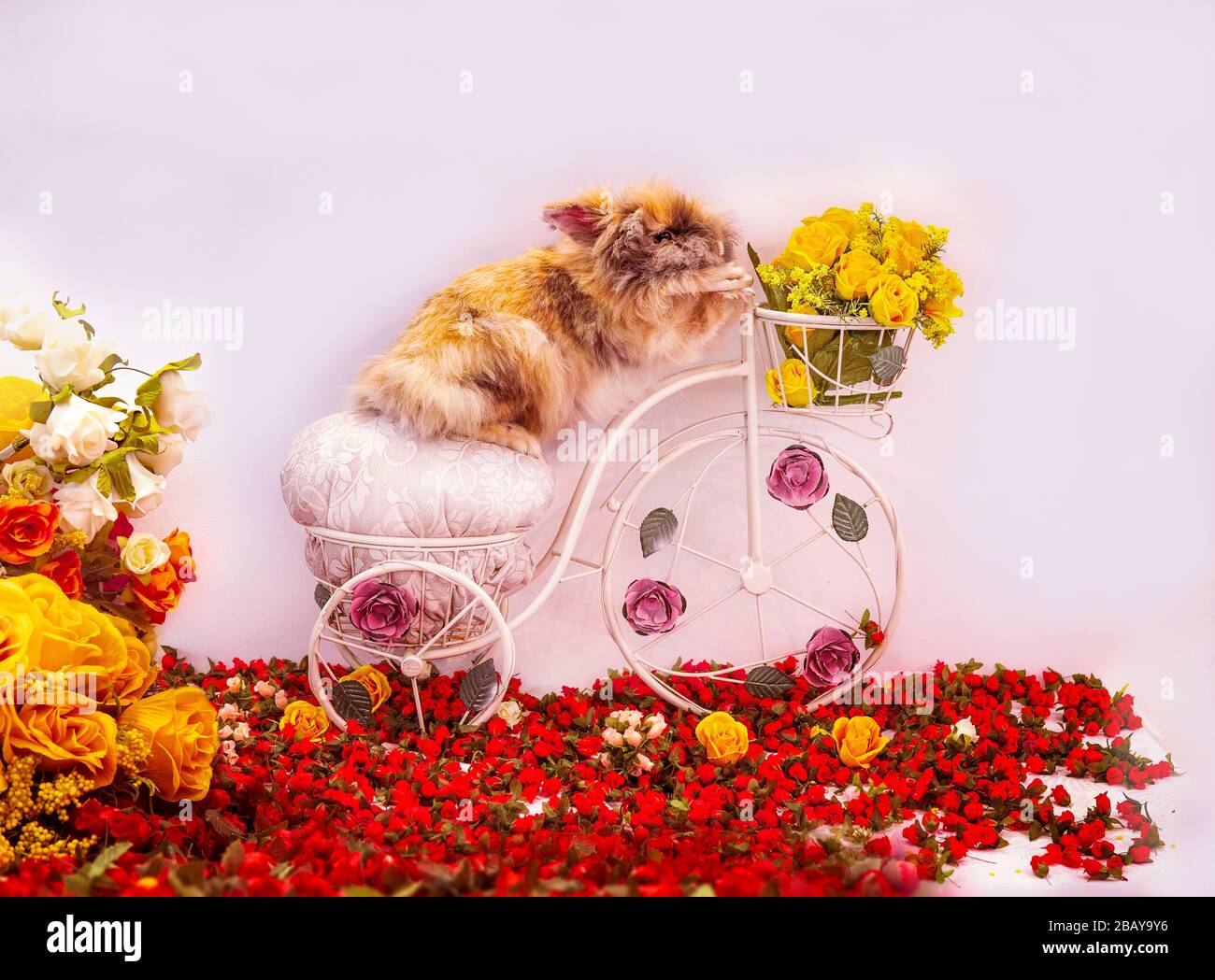 Giant Fluffy Special Easter Bunny Rabbit Riding Bicycle With Easter ...