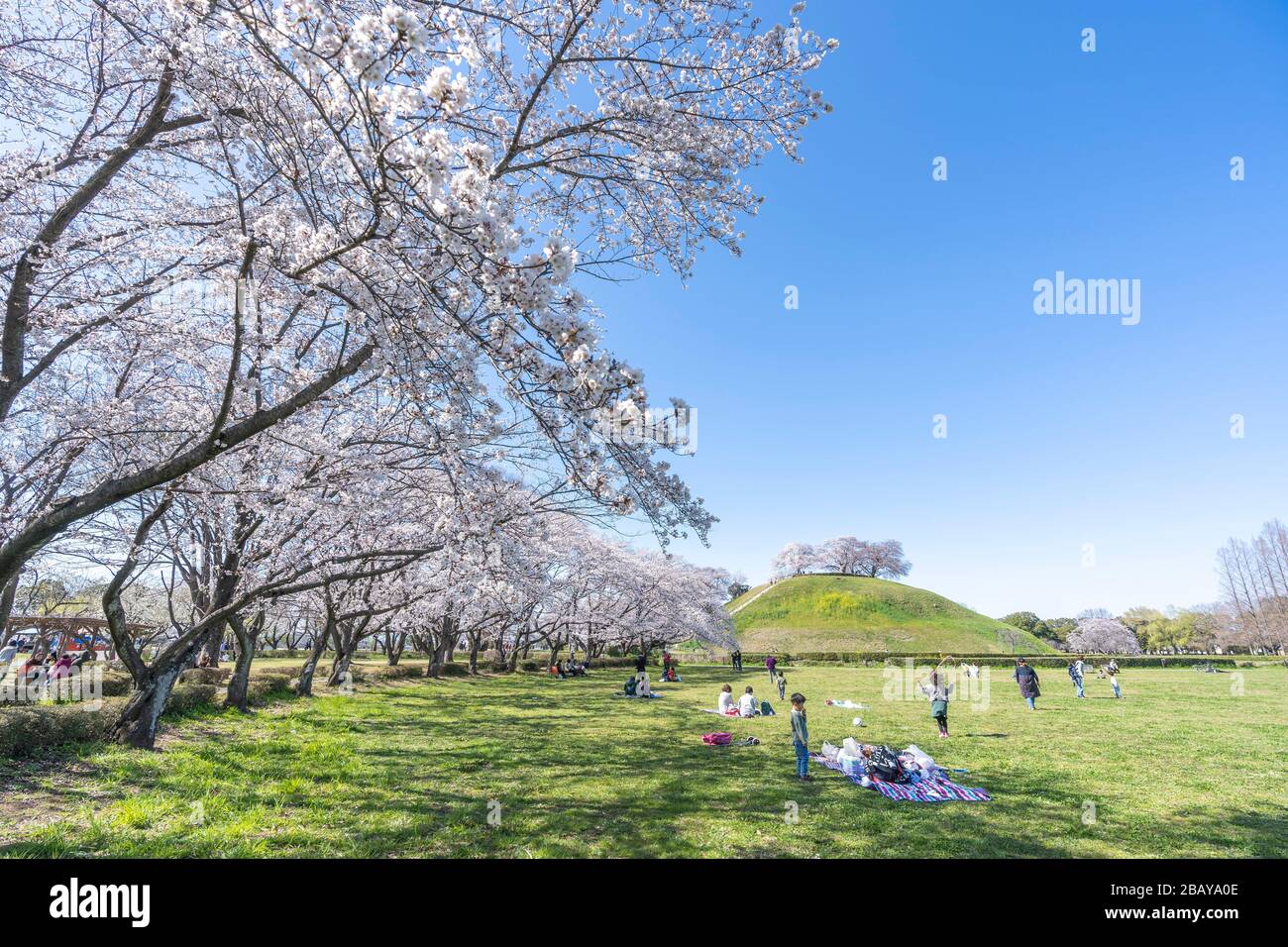 Maruyama kofun, Sakitama ancient tomb park, Gyoda City, Saitama ...
